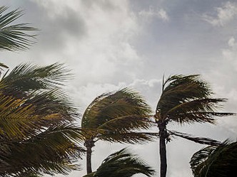 Vent violent : les bons réflexes - SDIS84